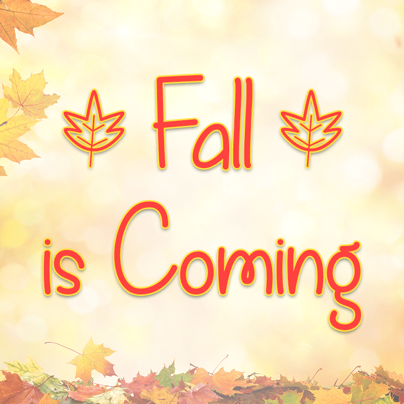 Fall is Coming